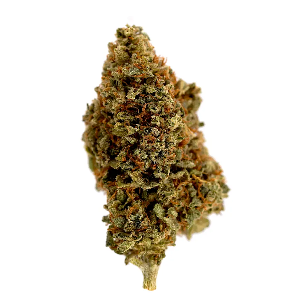 Premium Indica-Dominant CBD Flower Experience Awaits: Gorilla Orange ...