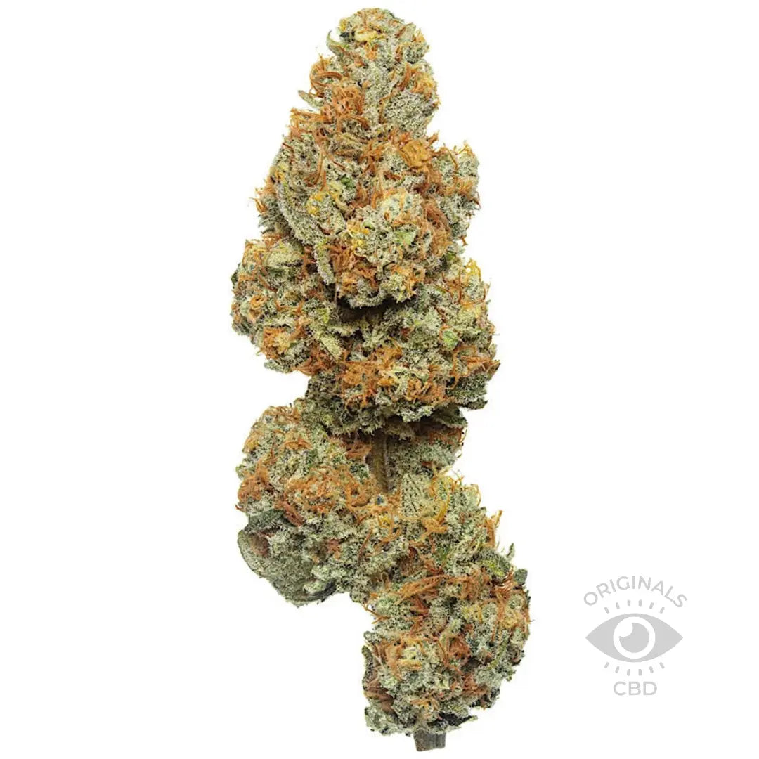 Your High-Quality Mango Tree CBD Flower Awaits | Originals CBD
